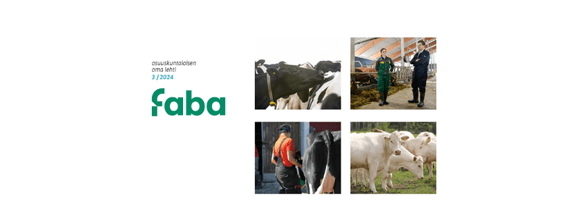Etusivu - Faba